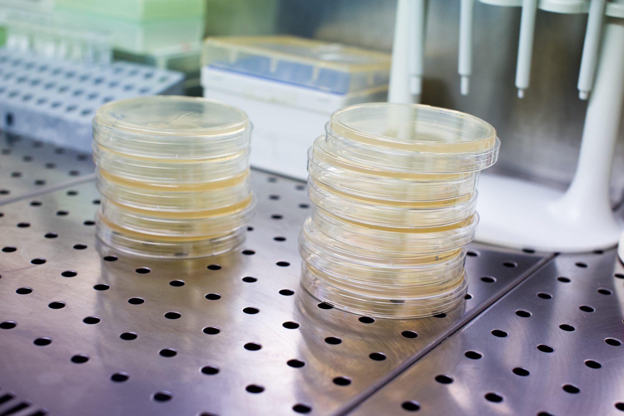 Polybrene Lentivirus Resources | BioInnovatise